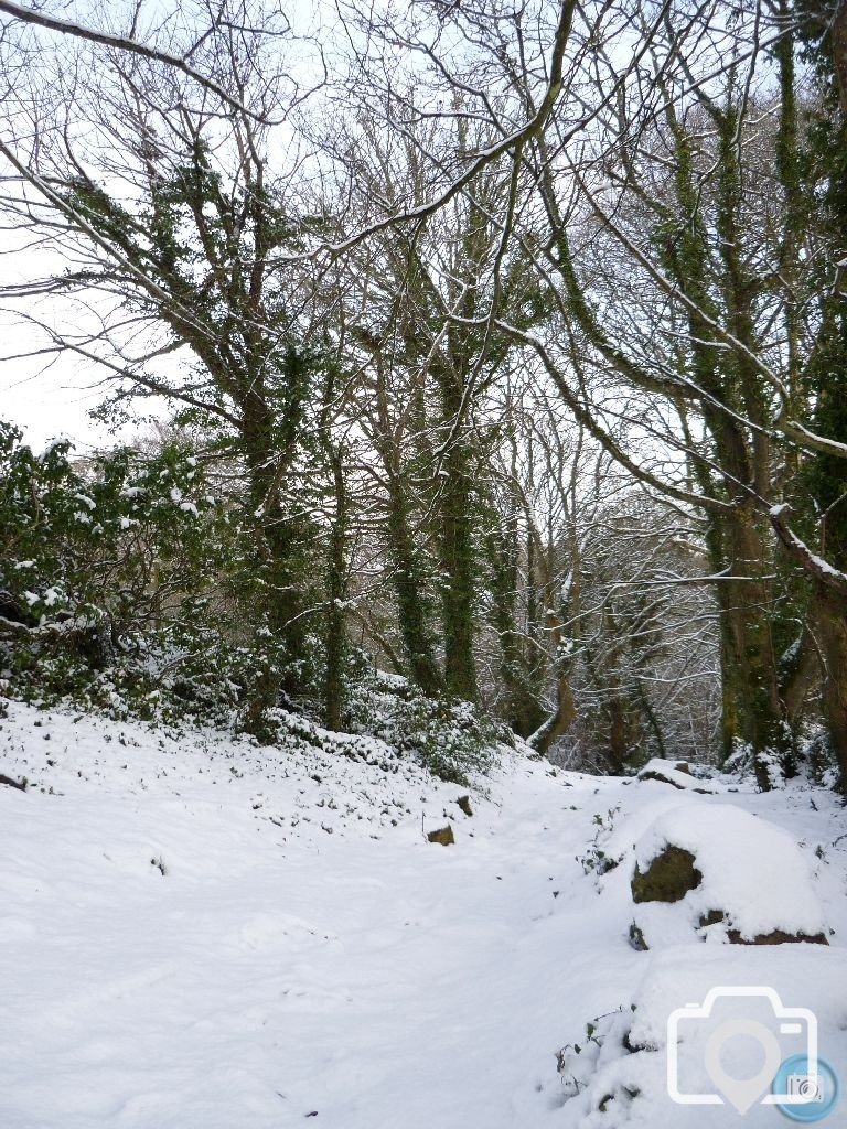 Old School Bell Tower | Picture Penzance archives